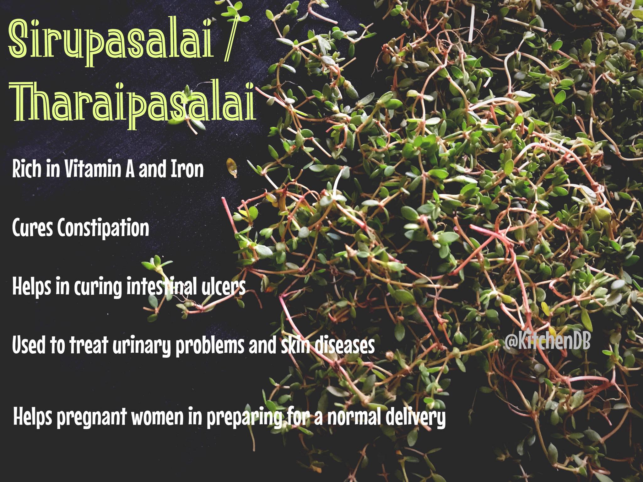 TharaiPasalai / SiruPasalai Keerai Paruppu Kadayal – KitchenDB – My ...